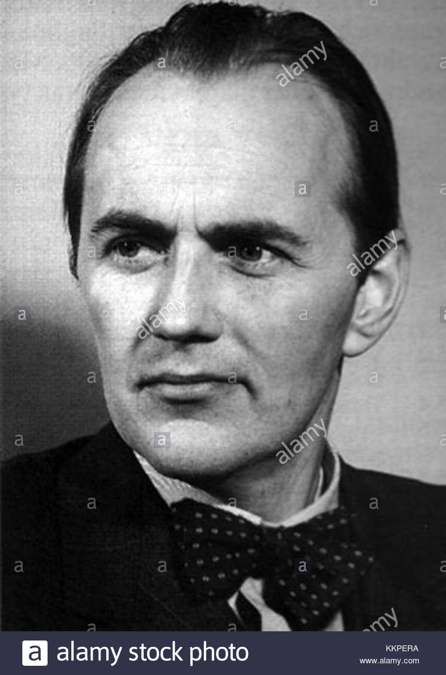 Drawing Lessons From The Rehn Model of Sweden