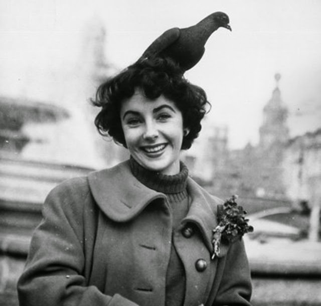 40 Beautiful Black and White Photographs of Elizabeth Taylor in Her ...