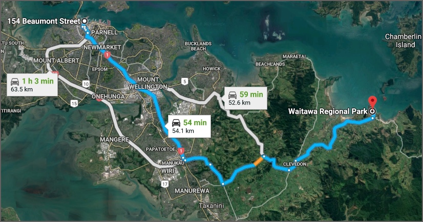 A Kiwi at the camera: Waitawa Regional Park