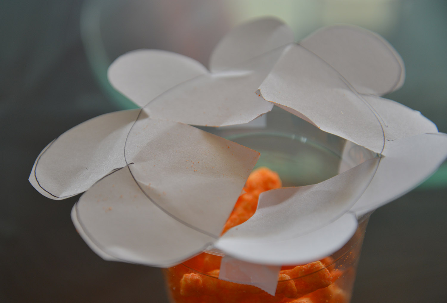 A school of fish: Bees and Pollination Activity