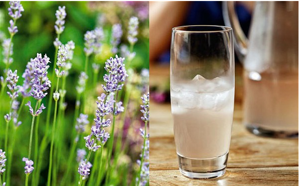 Meg Goes to Market: Tasty Tuesdays