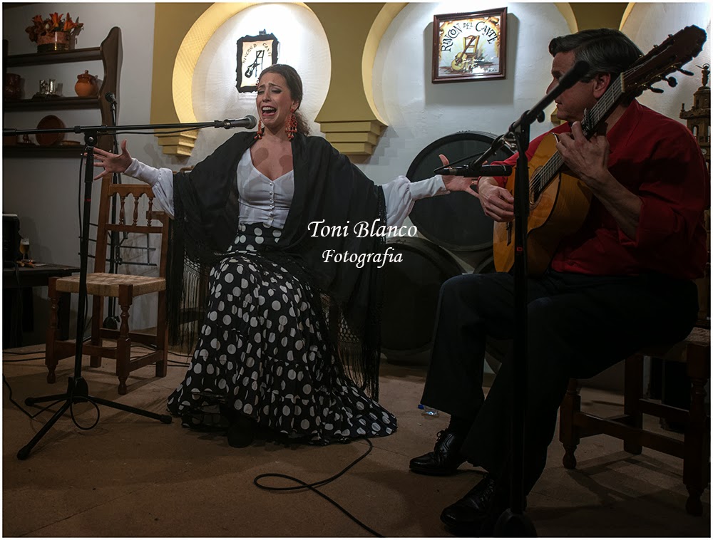 Toni: Peña Flamenca El Rincón del Cante, Córdoba