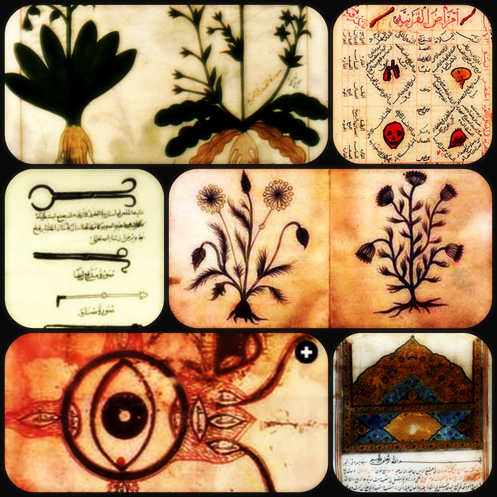 Persian Immersion خوش آمدید: Persian Medicine: Islam & Science