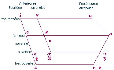 La phonétique et la phonologie - مدارس تـــك