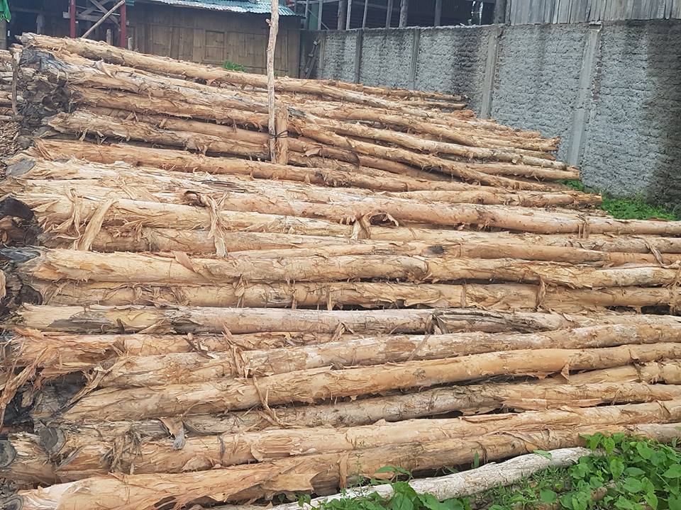 kayu dolken gelam,dolken gelam,cerucuk dolken gelam,turap kayu dolken ...