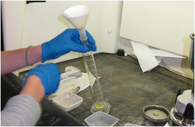 The Dish on Fish: The Quest For Fat