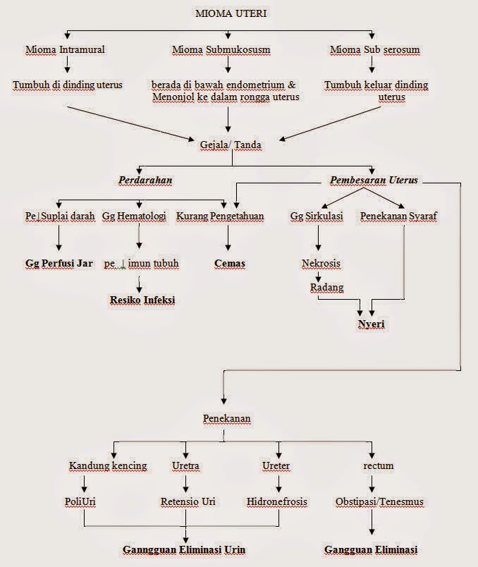 Pathway Mioma Uteri - Pathway Patofisiologi
