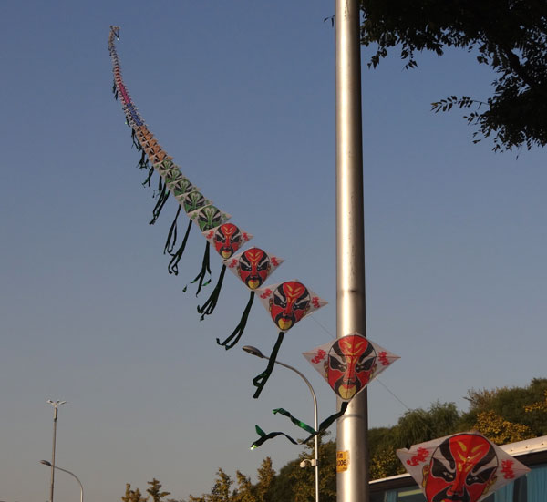 Just About Everything: Amazing collection of Kites!