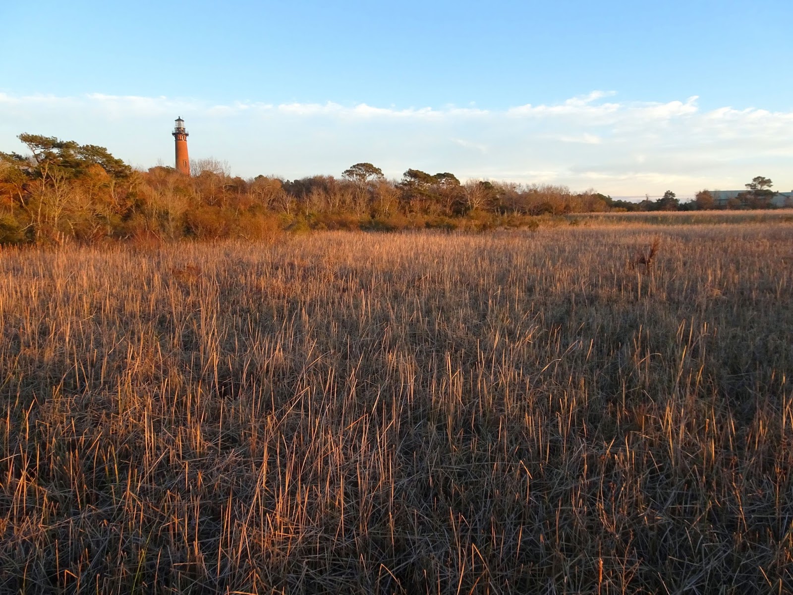 Femme au foyer: Currituck Beach Lighthouse