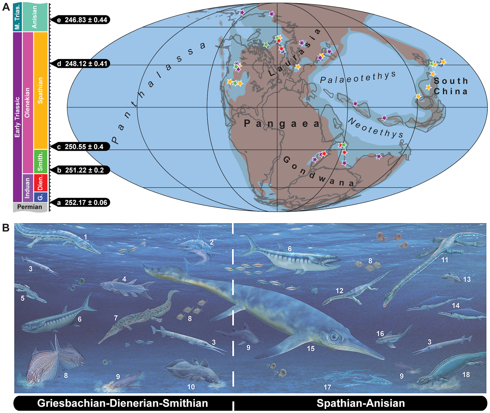 The Dragon's Tales: Biotic Recovery From the Permian Extinction From ...