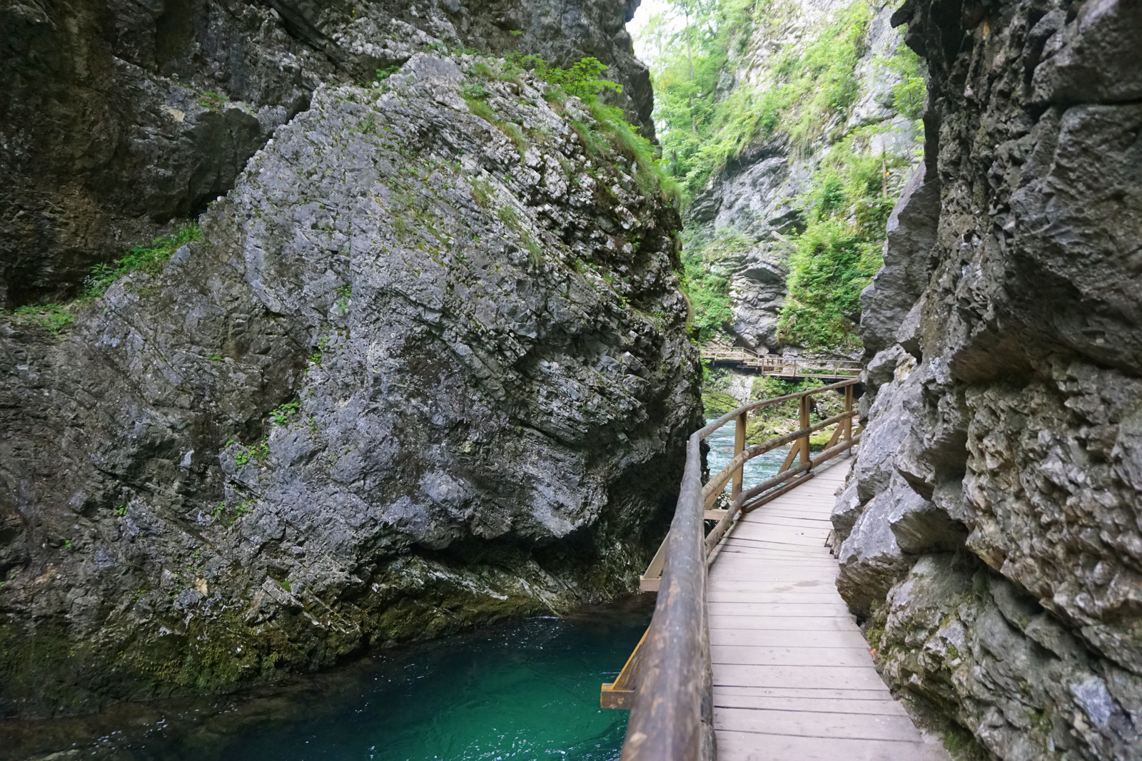Jelenkamen - Majdag: V skale ujeta reka Radovna - Soteska Vintgar...