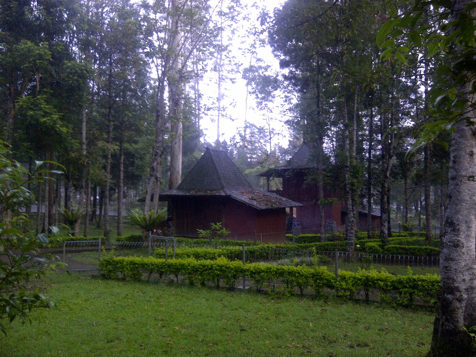 Wisata Bandung Selatan, Cimanggu - nyeritain.com