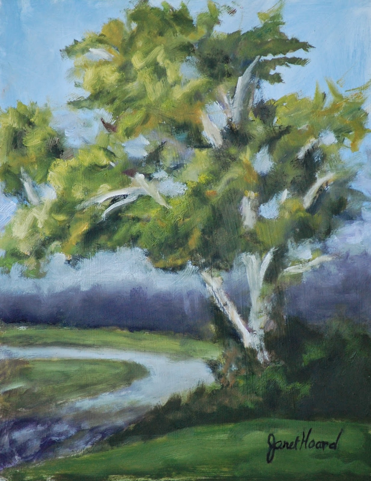 Janet Hoard Paintings: Plein Air Paintings for Sale