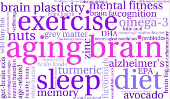 Best memory improvement tips: Memory Exercises