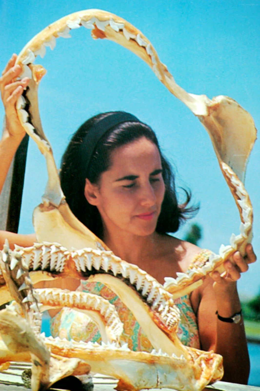 The Coracle "sermo liber vita ipsa": Eugenie Clark