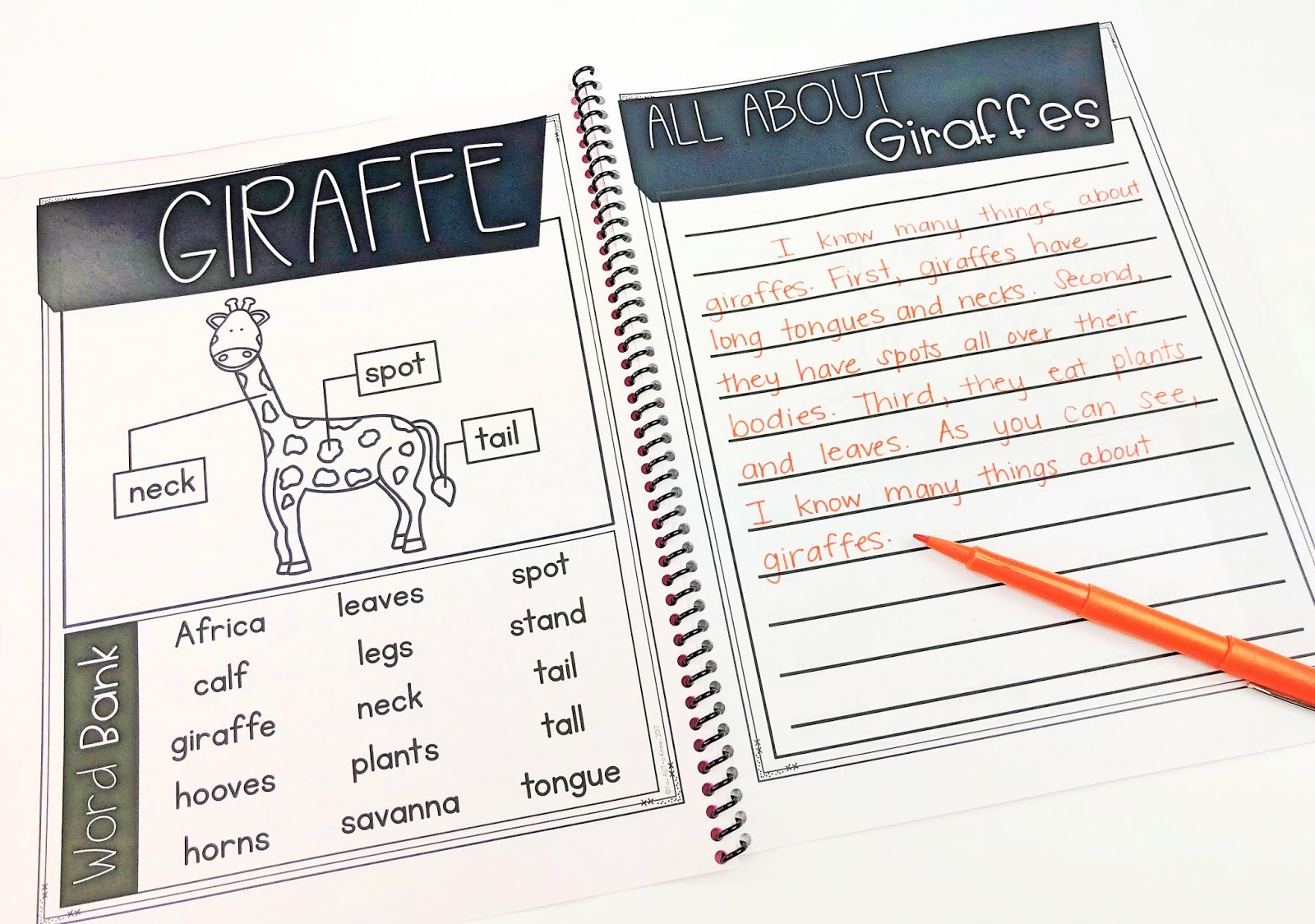 How to Scaffold Paragraph Writing for Special Education - You Aut-A Know