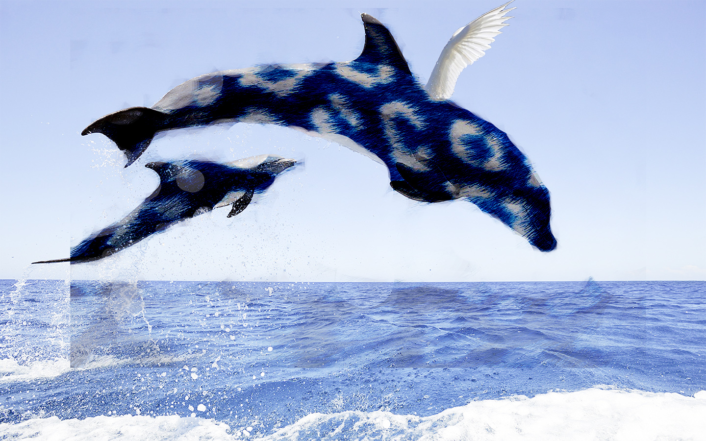 WCC Center for the Arts, Summer '13 : Flying CheetahDolphins