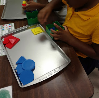 Growing Little Minds: Categorizing and Sorting in Kindergarten