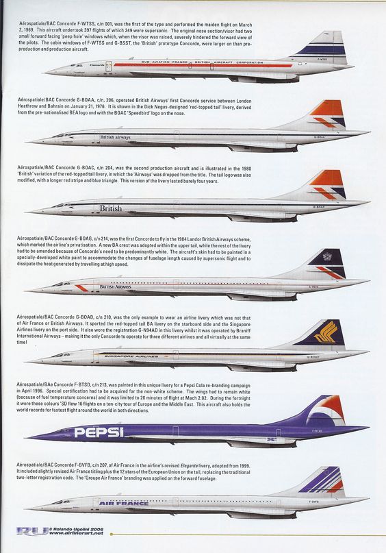 Aerospace and Engineering: Concorde Profiles