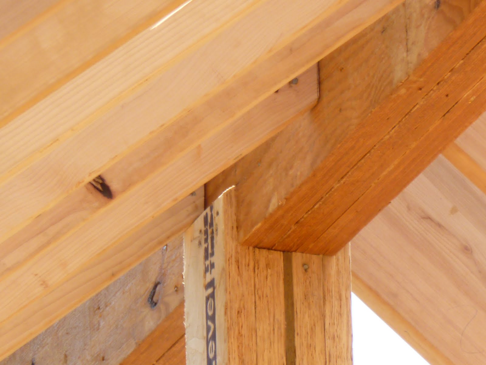 Bob and Flora's New House: Framing (part 2)