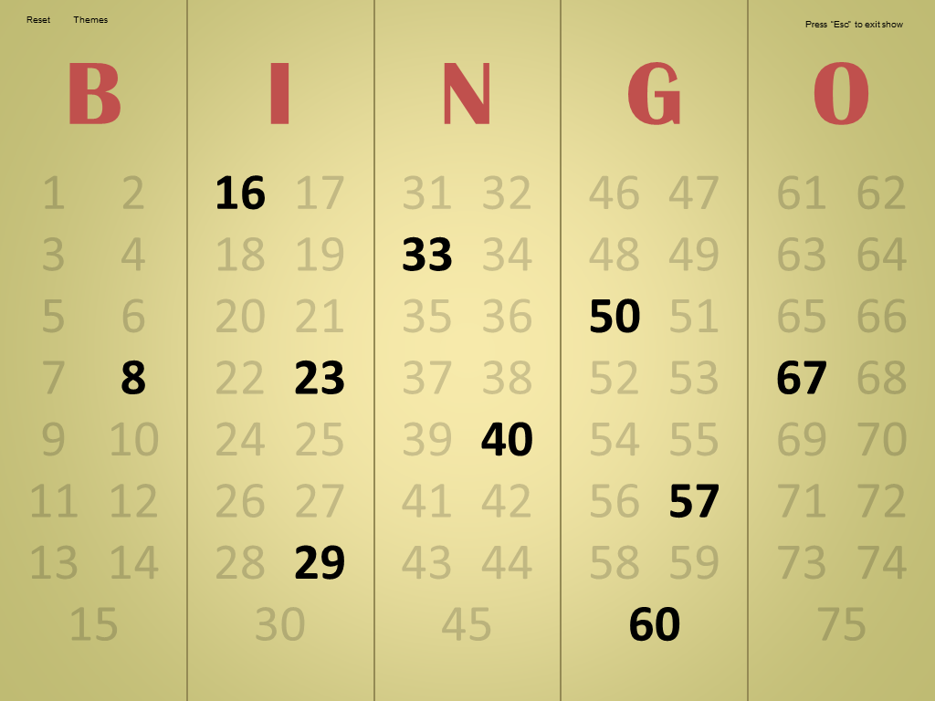 Bingo Master Board & Bingo Master Board PLUS