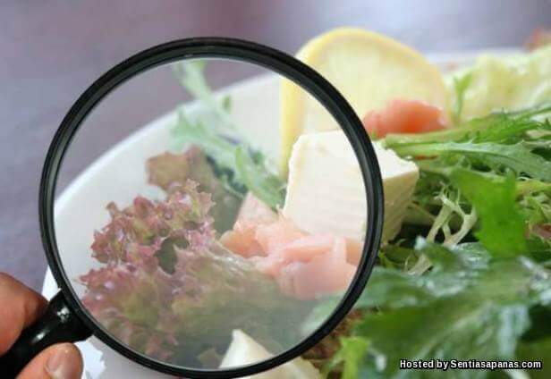 Fakta Biodegradasi, Sistem Pengurusan Sisa Pepejal Yang Anda Perlu Tahu ...