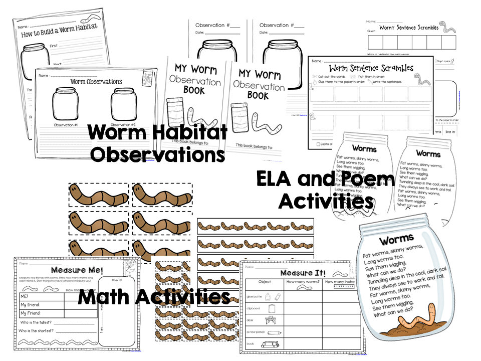 All About Worms! - Teacher by the Beach