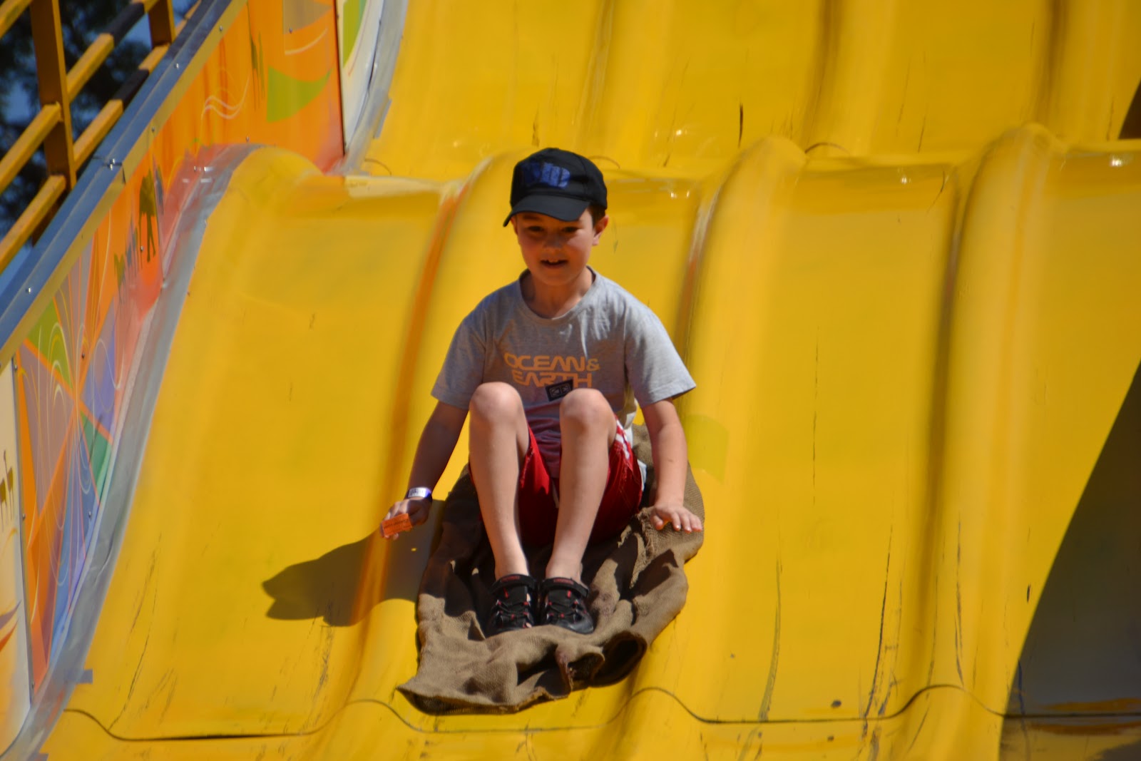 TheA+ Photography: The Beaudesert Show