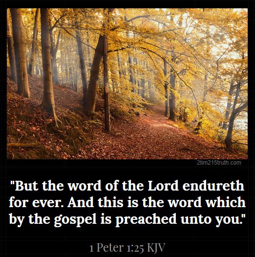 2 Timothy 2:15 Truth: Verse of the Day: 1 Peter 1:25 KJV