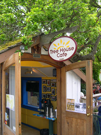 Snacking Squirrel: Best Veggie Burgers