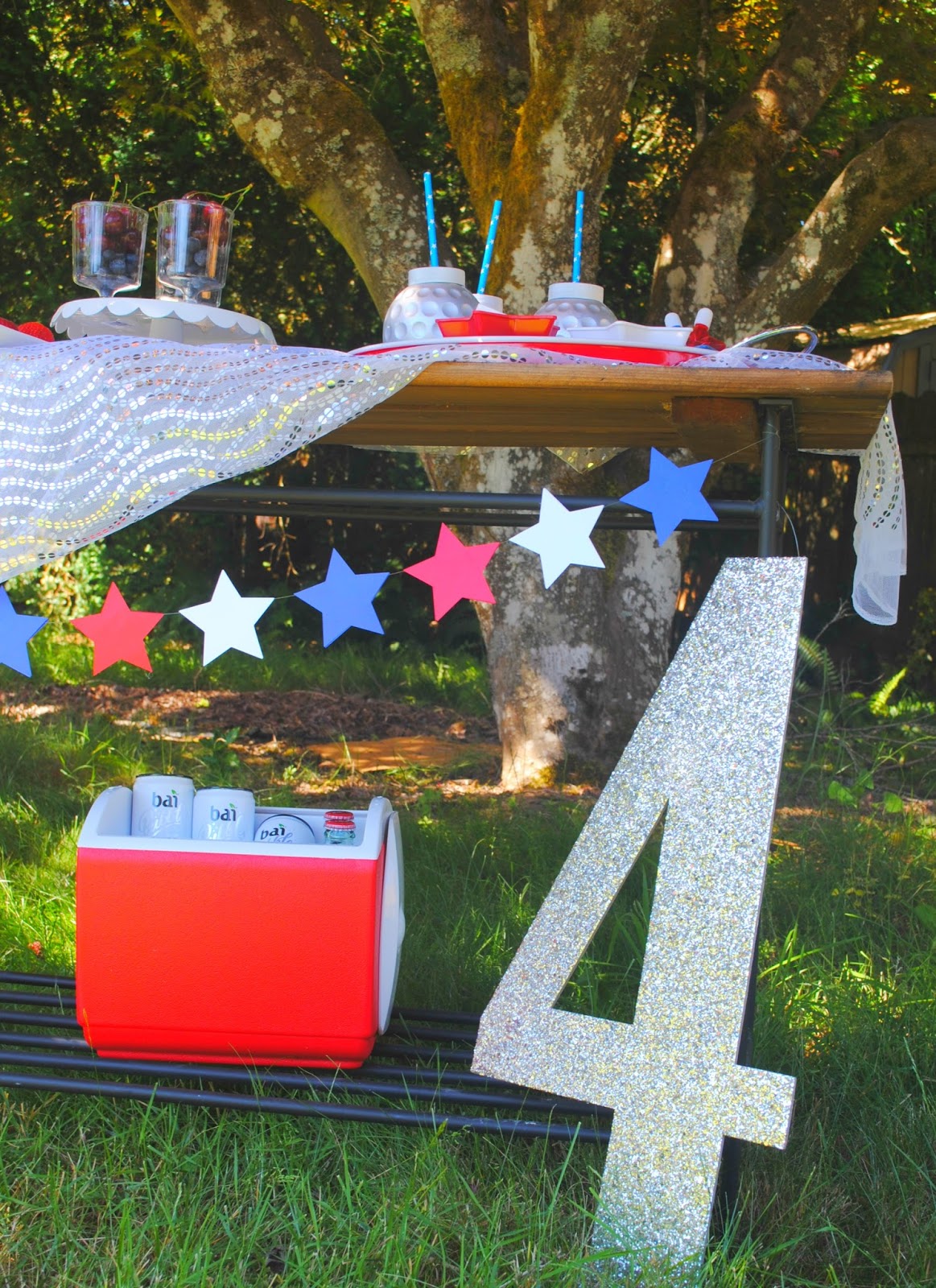 Fizzy Party: 4th of July Pool Party