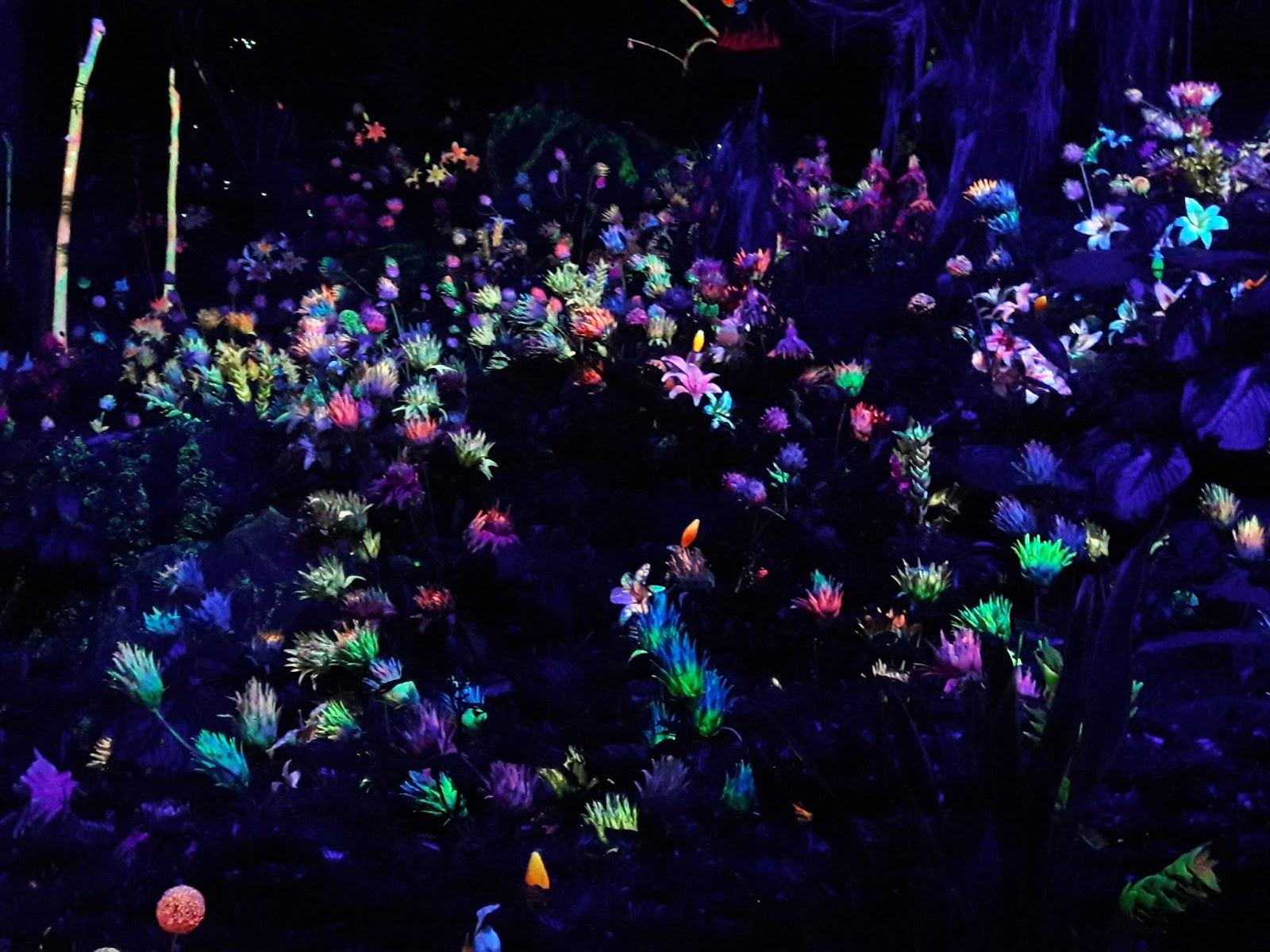 My Blogs: Enchanted Luminous Forest At Lost World Of Tambun