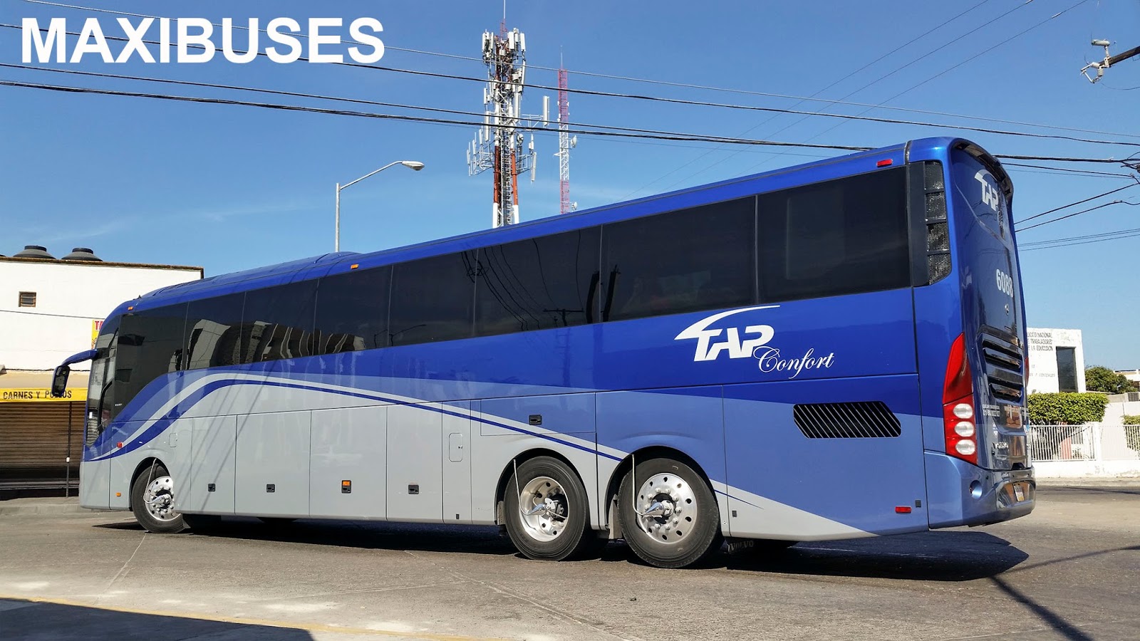 MAXIBUSES: TRANSPORTES Y AUTOBUSES DEL PACÍFICO, CONFORT (TAP CONFORT)