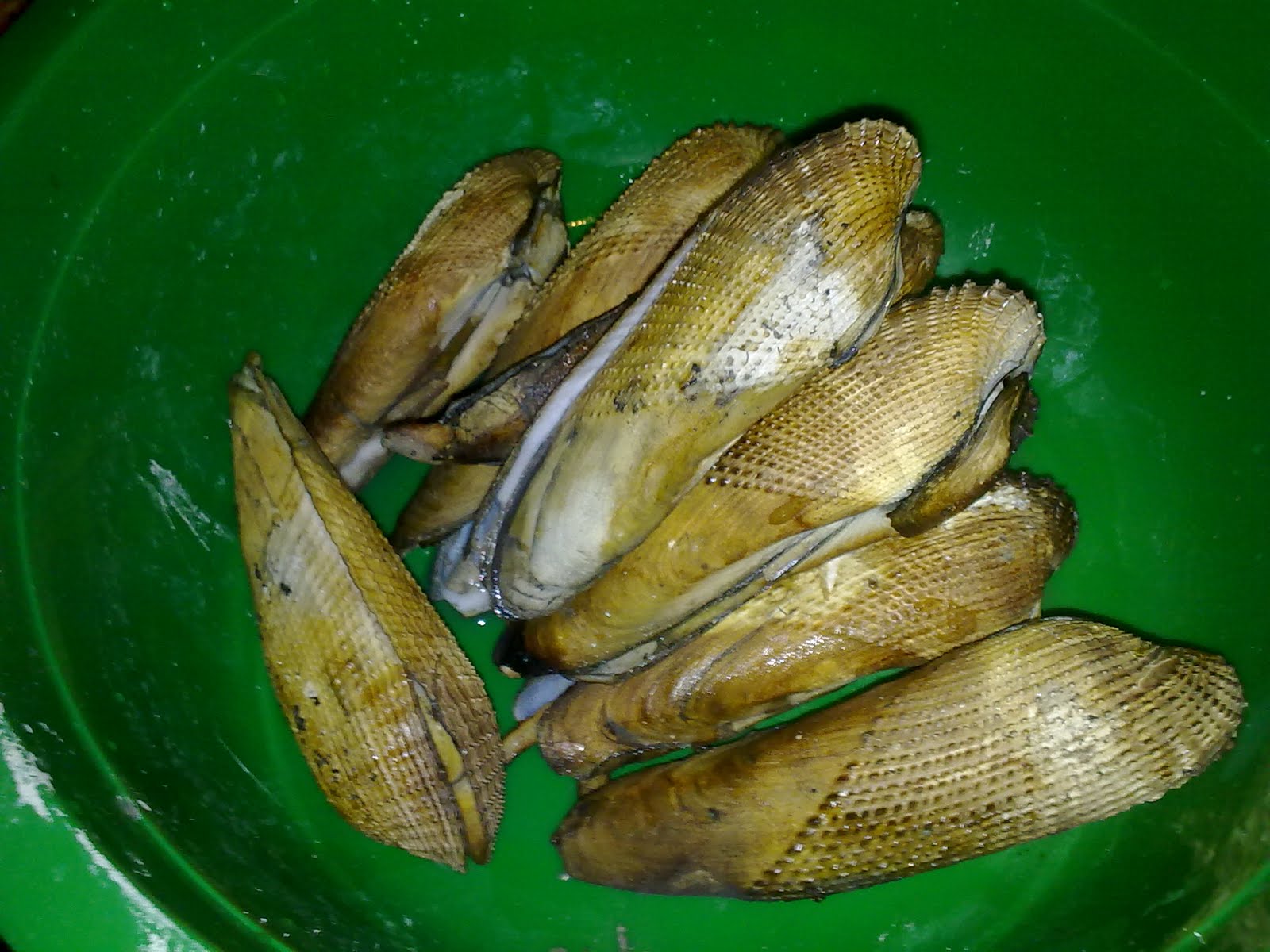 ~ Aku ingin Bahagia dan Membahagiakan setiap Jiwa di dalam Hidupku ...