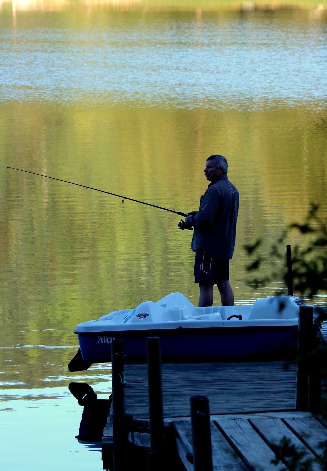 The Murray Chronicles : The end of summer at Lakeside Gardens on Salt ...
