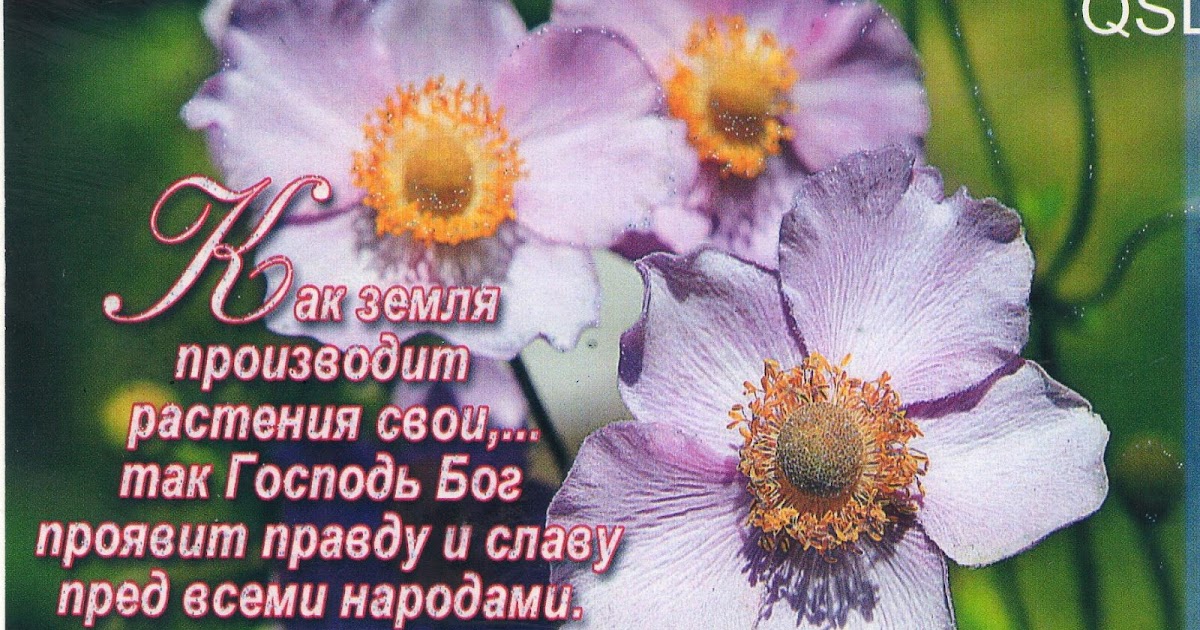 SHORTWAVE BLOG FROM BELARUS: QSL HCJB SHORTWAVE BLOG FROM BELARUS: QSL HCJB