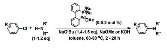 Buchwald-Hartwig Cross Coupling Reaction