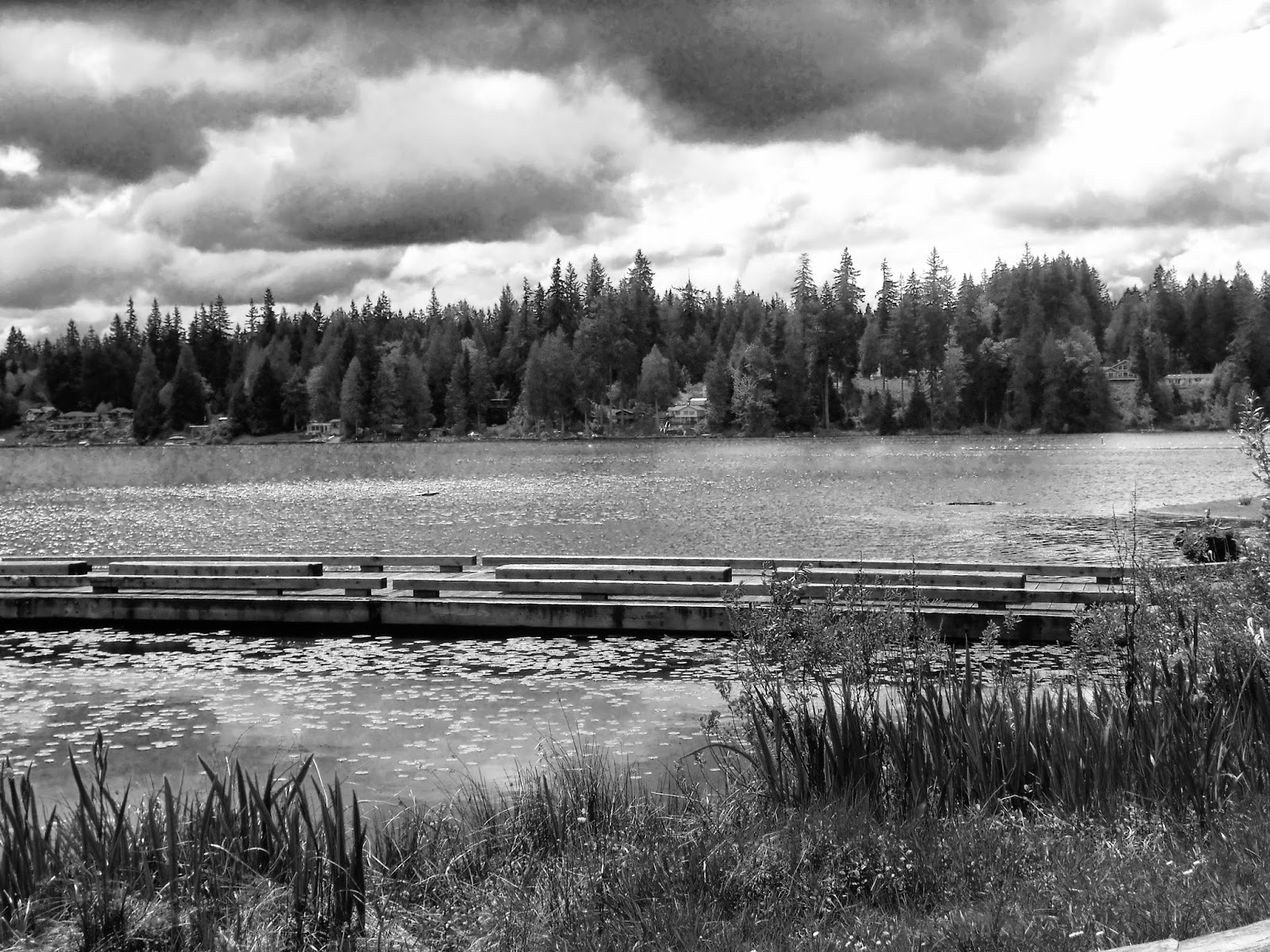 Diary of a Pair of RV Virgins: Flowing Lake County Park, Snohomish, WA