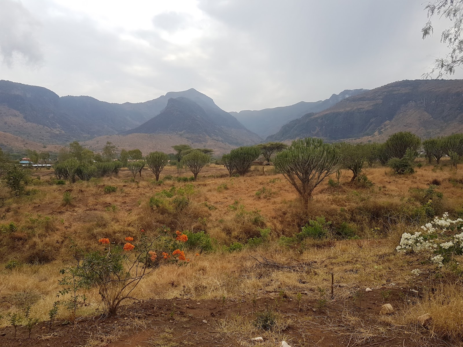 Sarah in Moroto, Uganda: Moroto, Karamoja