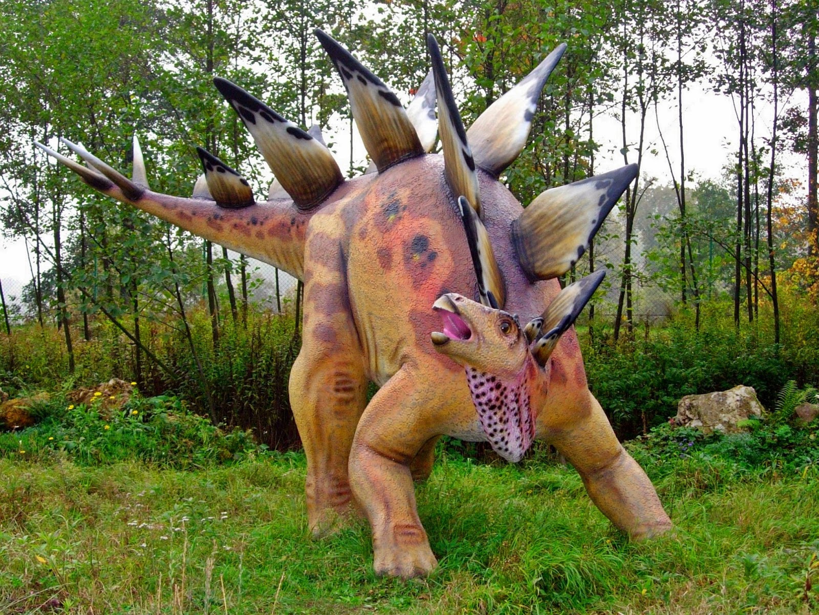 Stegosaurus - TAMAN DINOSAURUS
