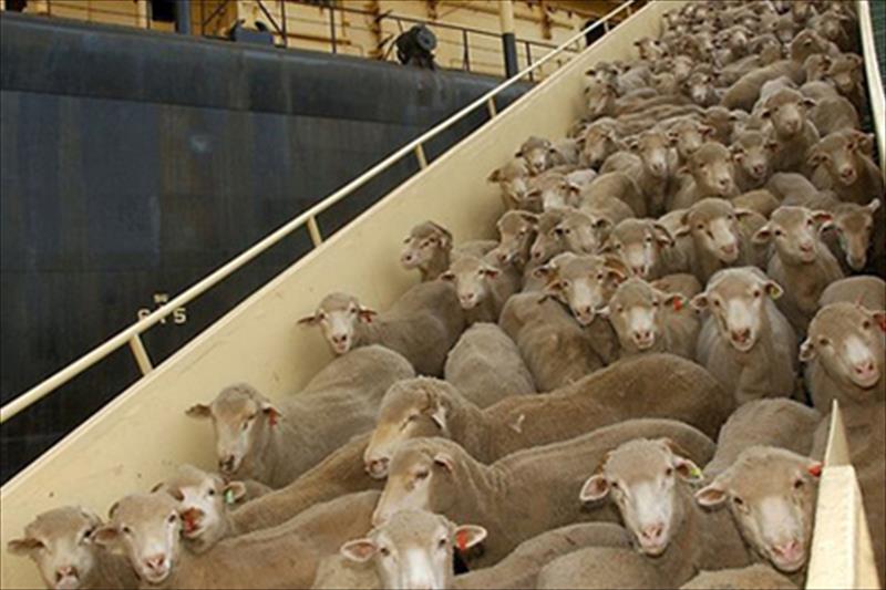 clasificación de las cargas : carga general