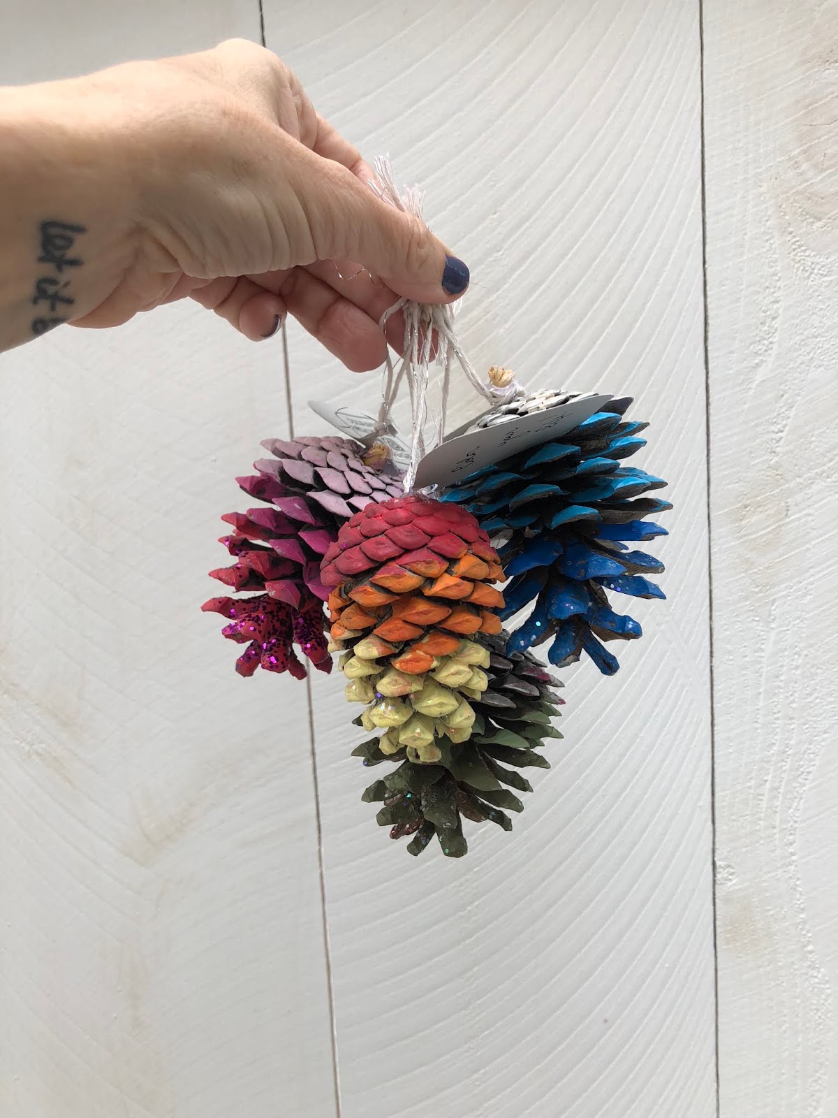Abandoning colorful pine cones