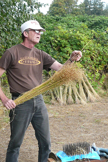 flax to linen victoria bc: Harvest
