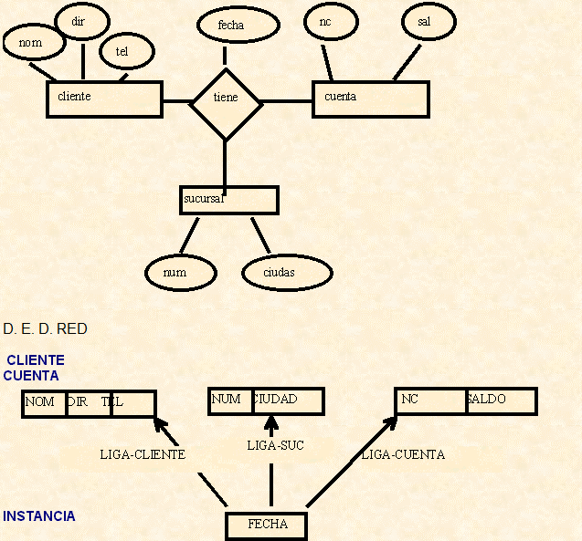 Modelo De Red En Base De Datos Ejemplos Opciones De Ejemplo Images