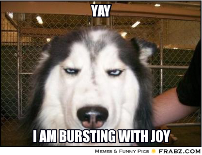 FelixTheCoolDude- Dat Gaming Channel