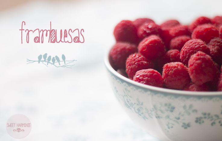 Lady Selva: Inspiración: color frambuesa