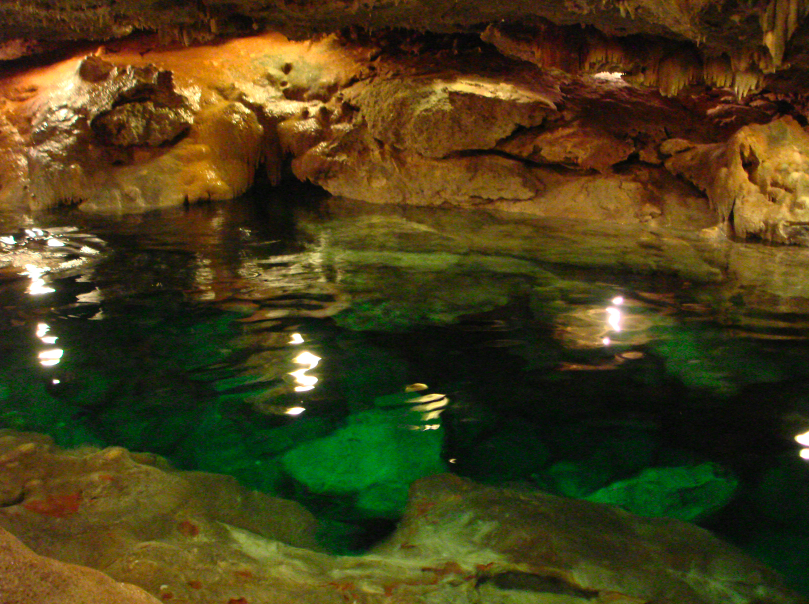 Viaja Conmigo•*¨*•☆: Cenote San Ignacio en Chocholá Mérida