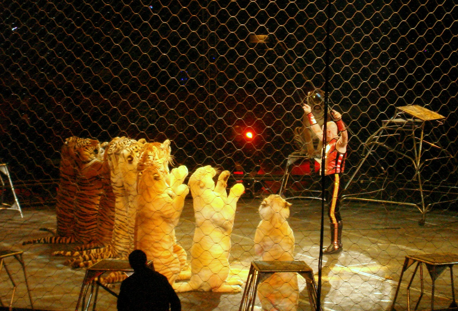 Fully Charged - Ringling Bros. and Barnum & Bailey Circus