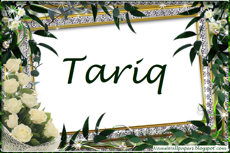 Tariq Name Wallpapers Tariq ~ Name Wallpaper Urdu Name Meaning Name ...