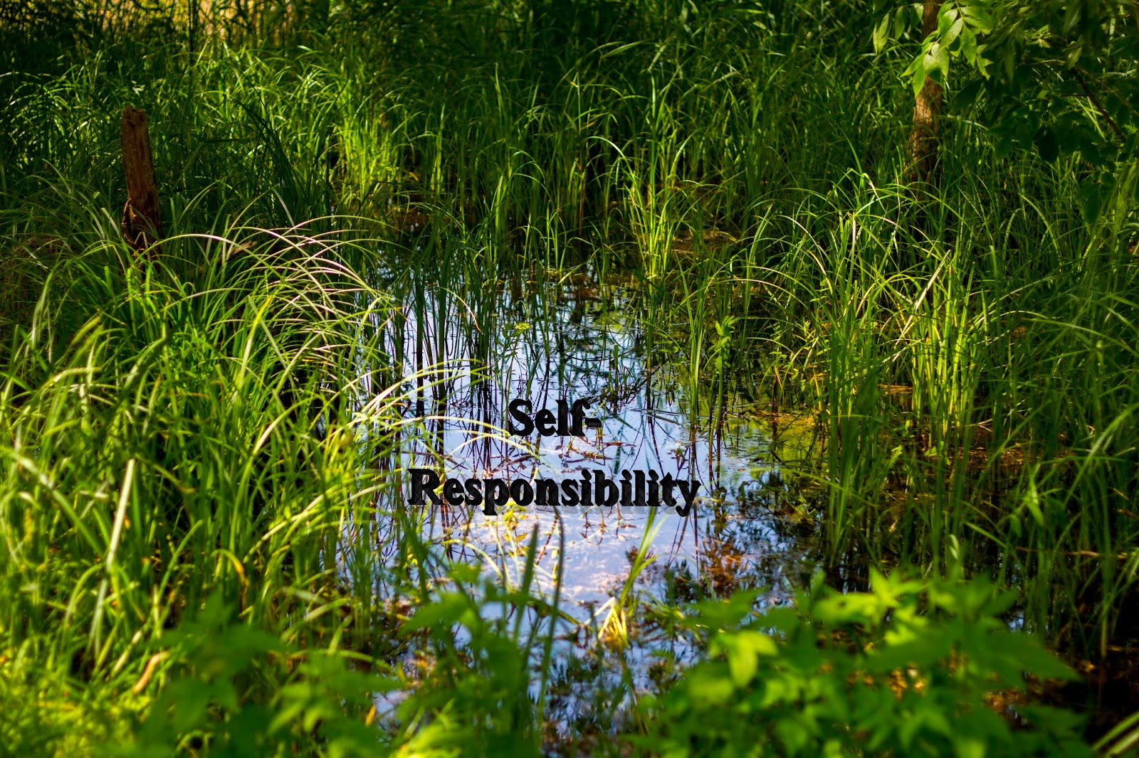 The unification of man: [JTL Day 188] 5. Living the principle of Self ...